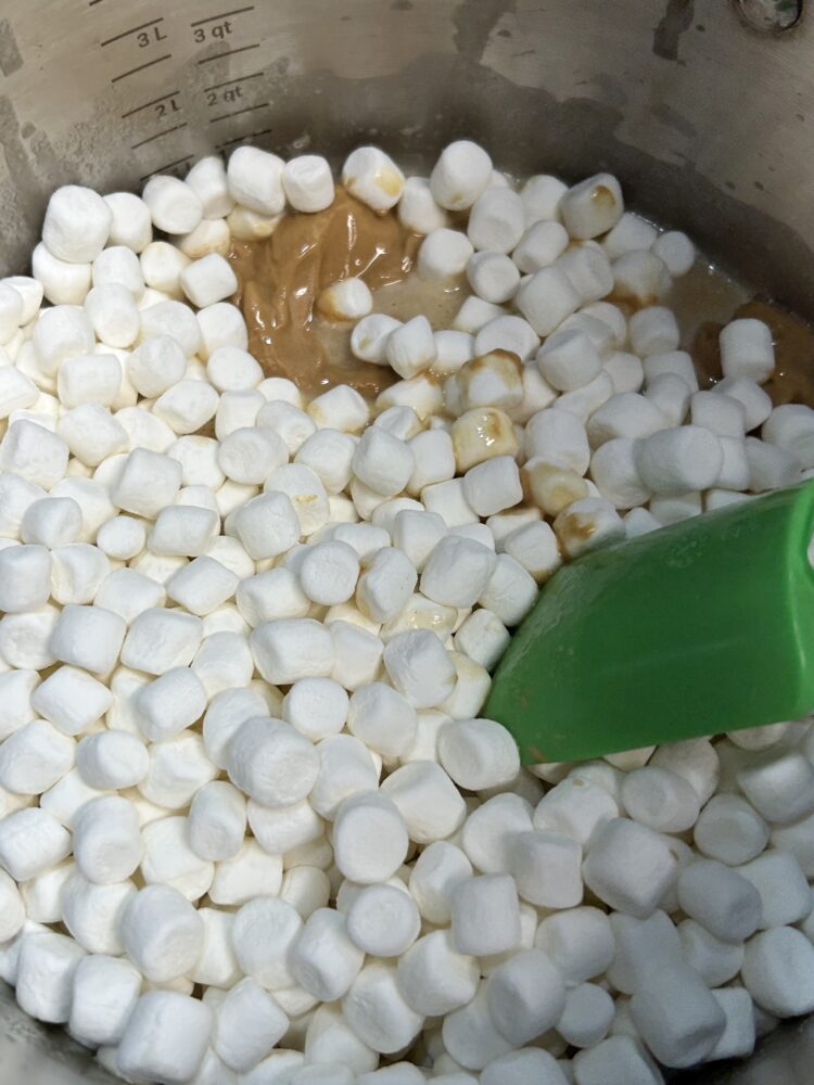 Cripsy Rice Chocolate Log