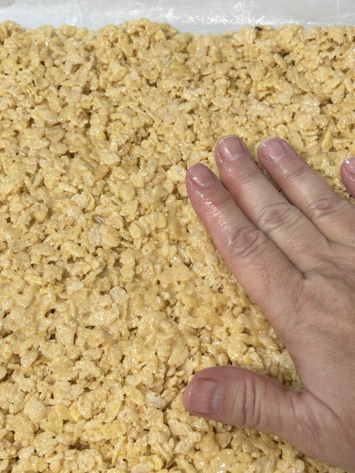 Cripsy Rice Chocolate Log